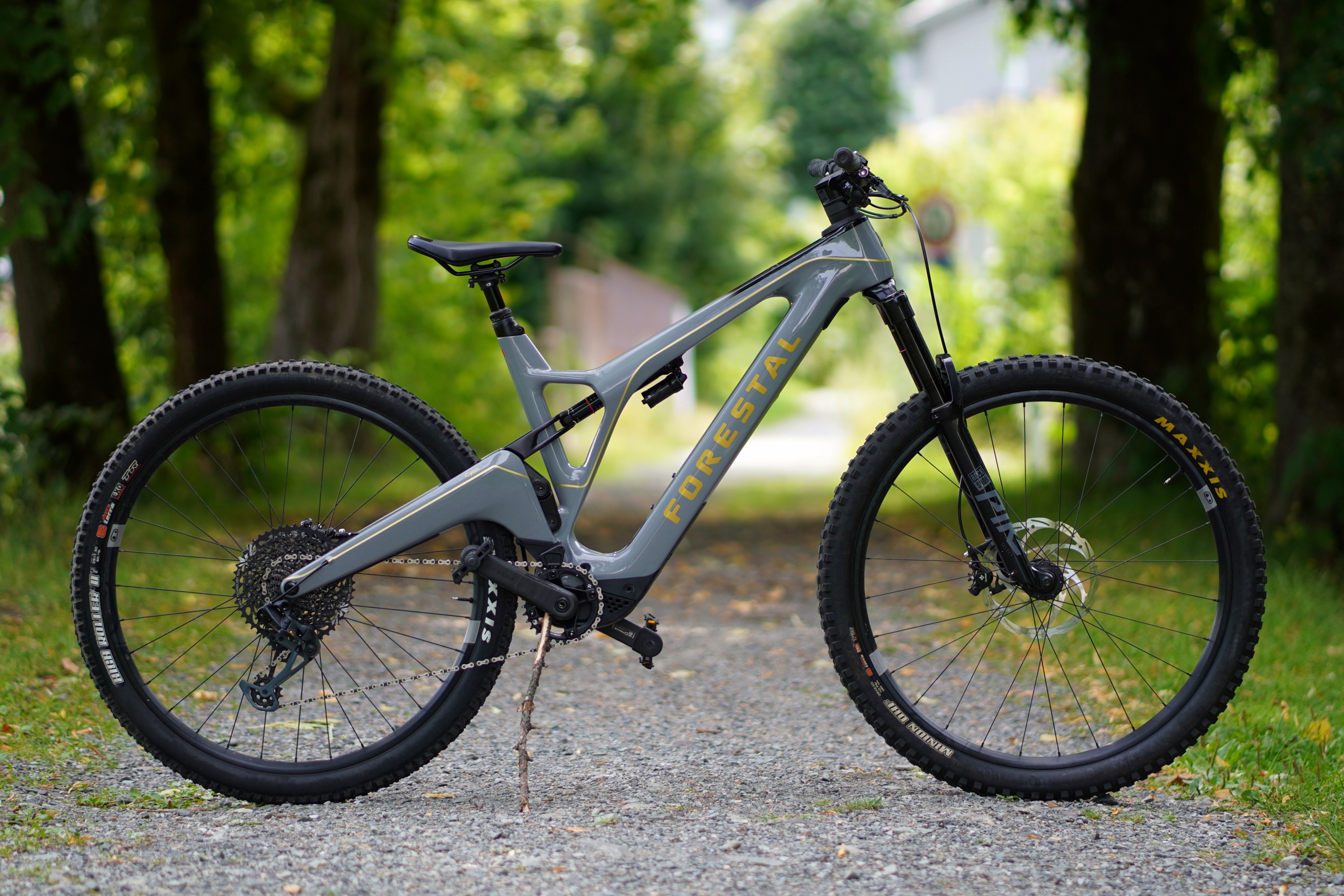 2022 Forestal Cyon Halo review | EMTB Forums