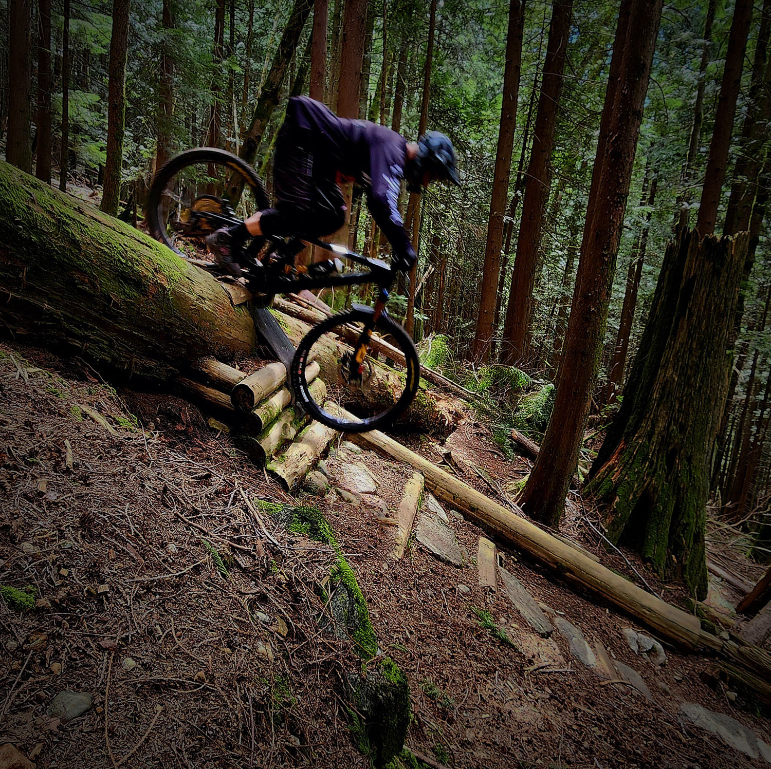 Pic of the Day | Page 420 | EMTB Forums