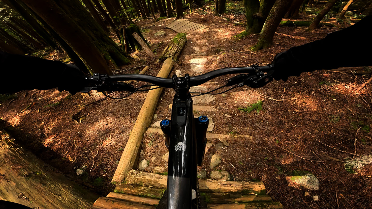 Pic of the Day | Page 420 | EMTB Forums