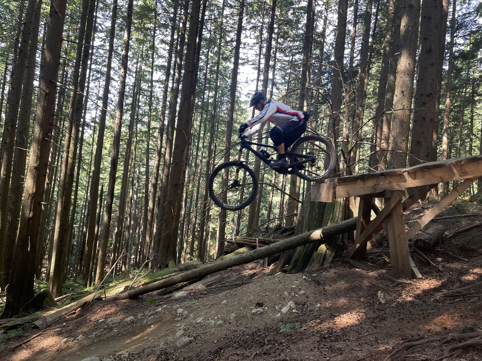 Pic of the Day | Page 261 | EMTB Forums