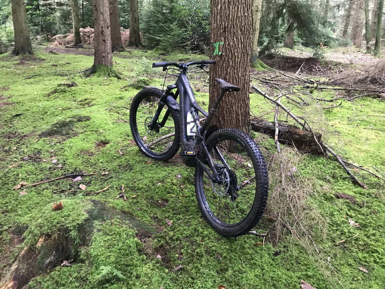 First ride out on the levo 2020 | EMTB Forums