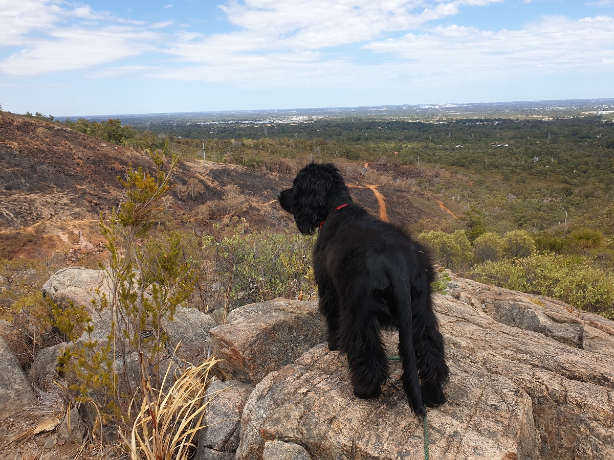 G'day from WA | EMTB Forums