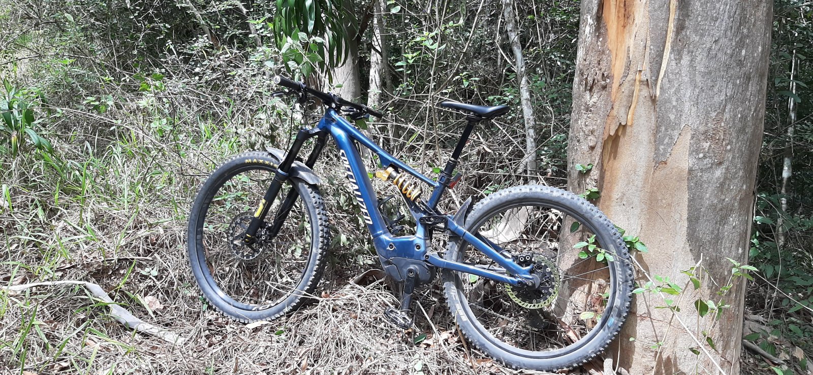 27 1 2 Vs 29 Wheels EMTB Forums
