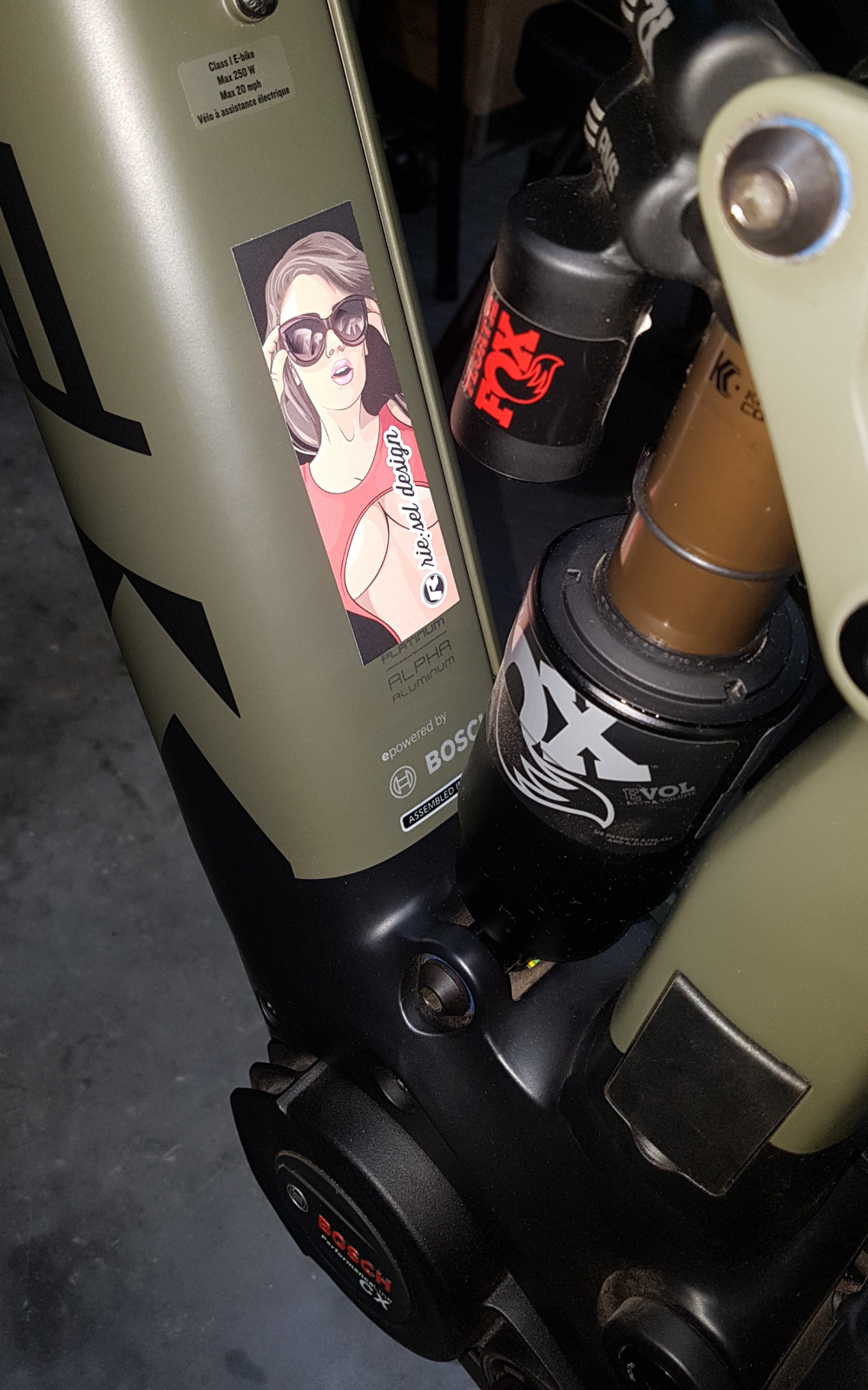 hi emtb, i'm a newbie here. my ride is a trek rail | EMTB Forums