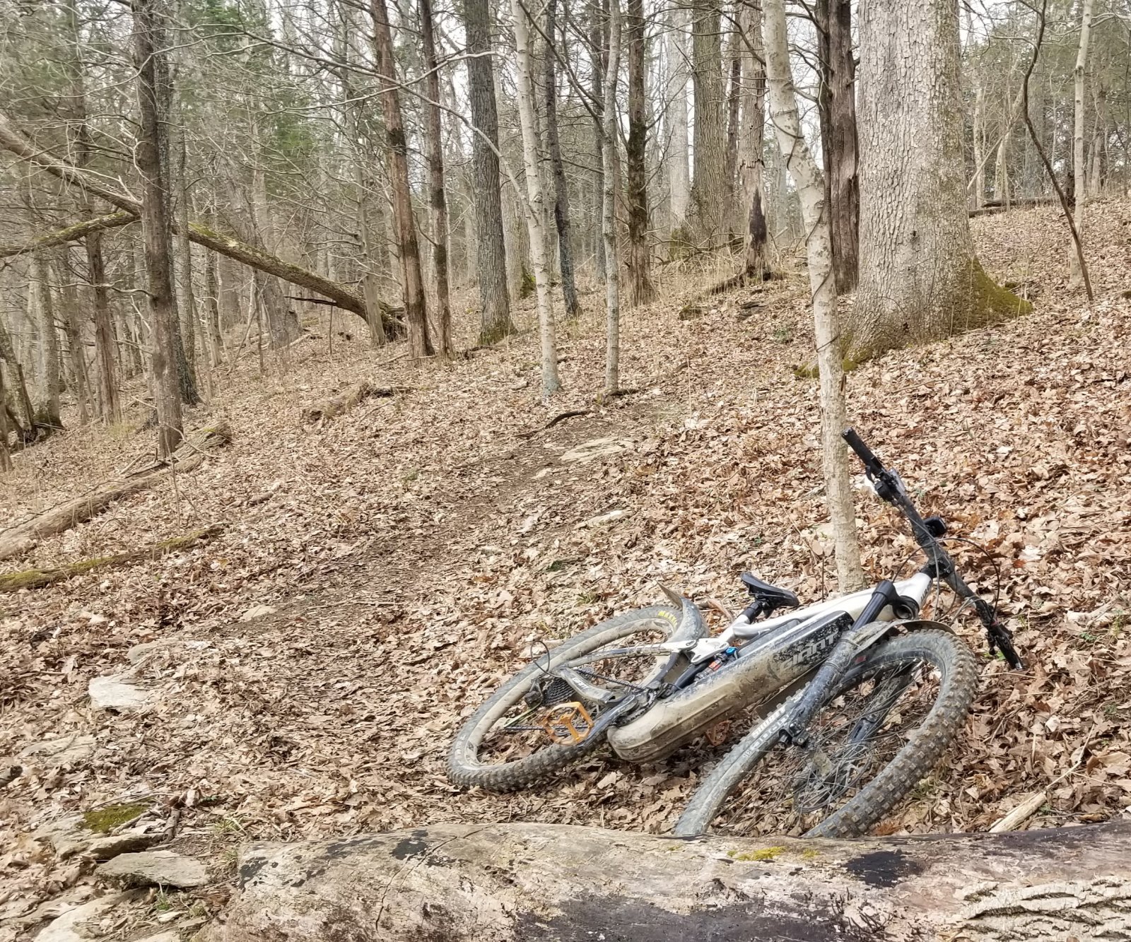 Lets see your Giant ebike pics.. | Page 8 | EMTB Forums