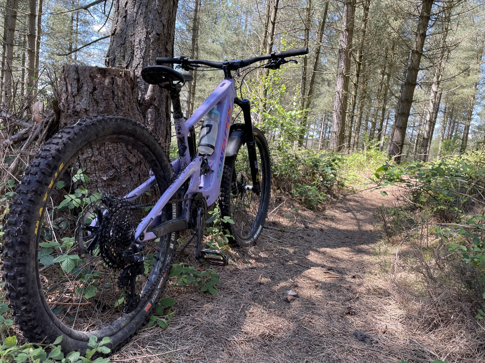 Has anybody changed their downtube logo? | EMTB Forums