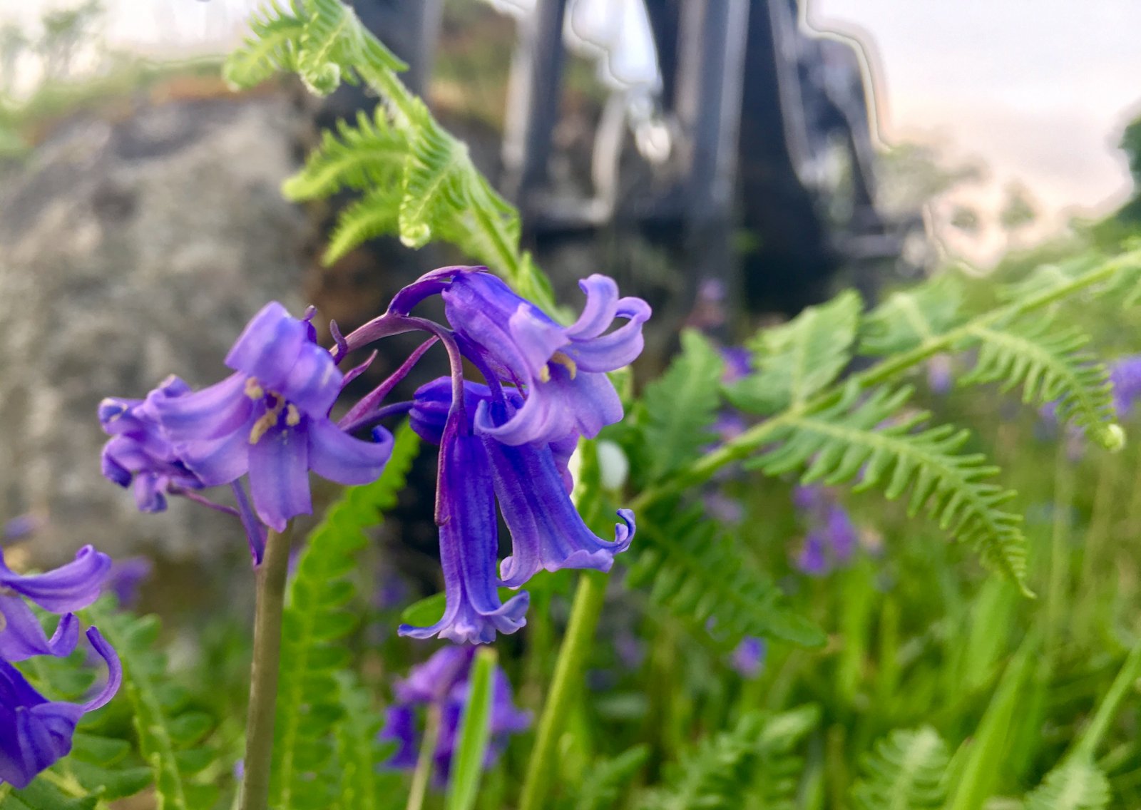 Dartmoor clip... | EMTB Forums
