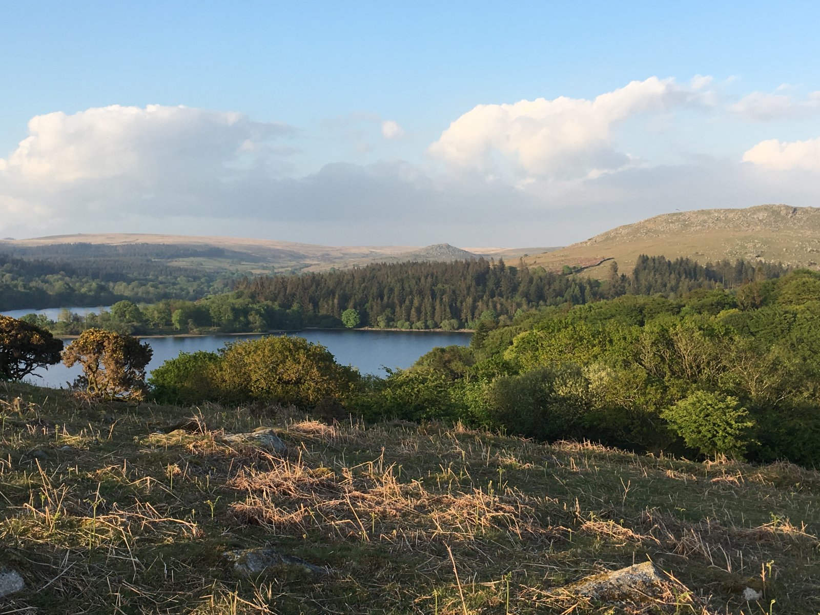 Rocks! Quick clip of Dartmoor... | EMTB Forums