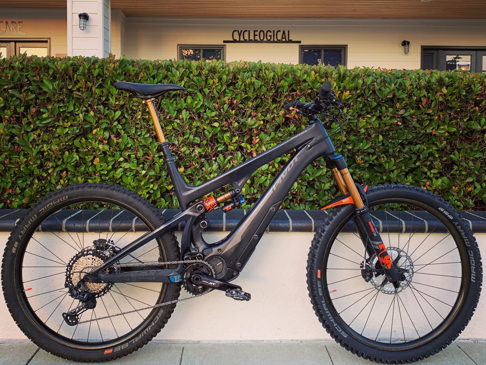 The Intense Tazer Deserves More Consideration. Custom Build Pics Within ...