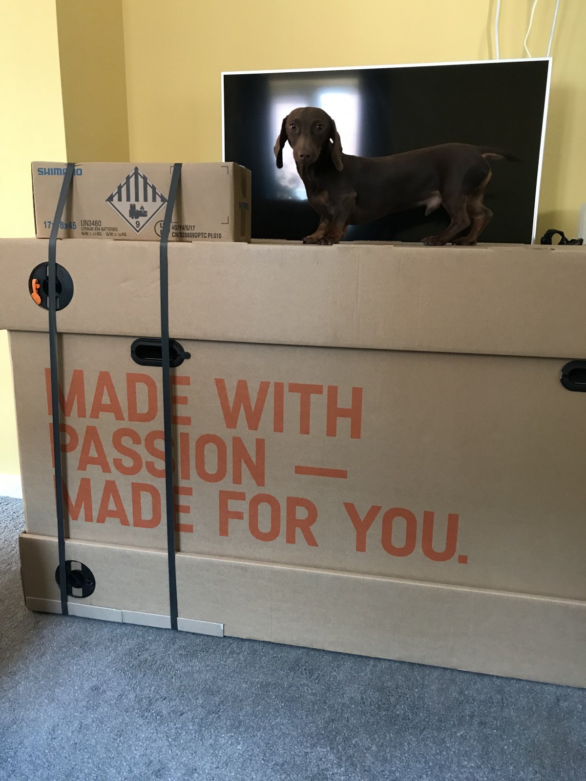 Two minds - Canyon Spectral:ON | Page 5 | EMTB Forums