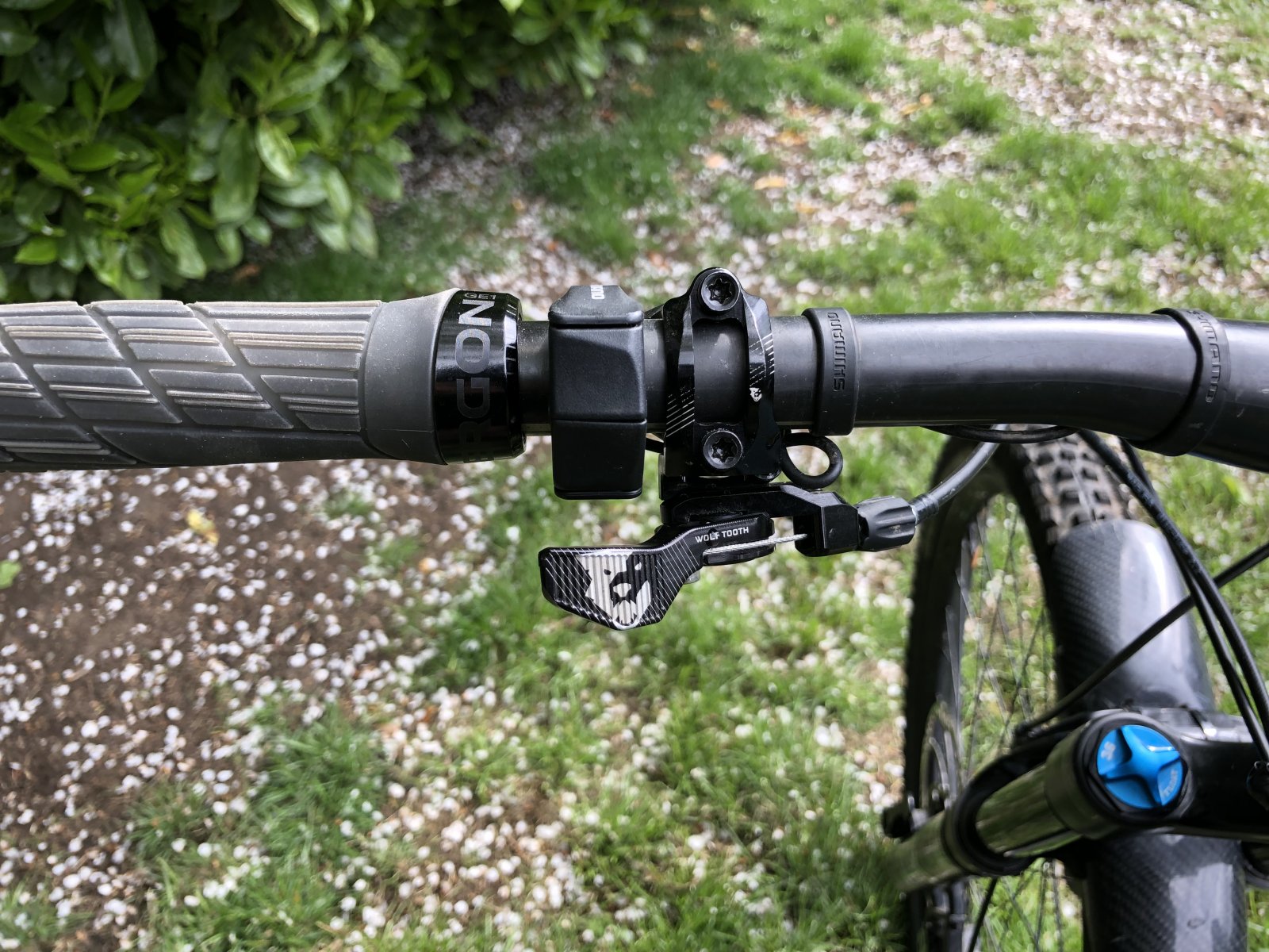 For Sale: 2018 Focus Sam2 size medium | EMTB Forums