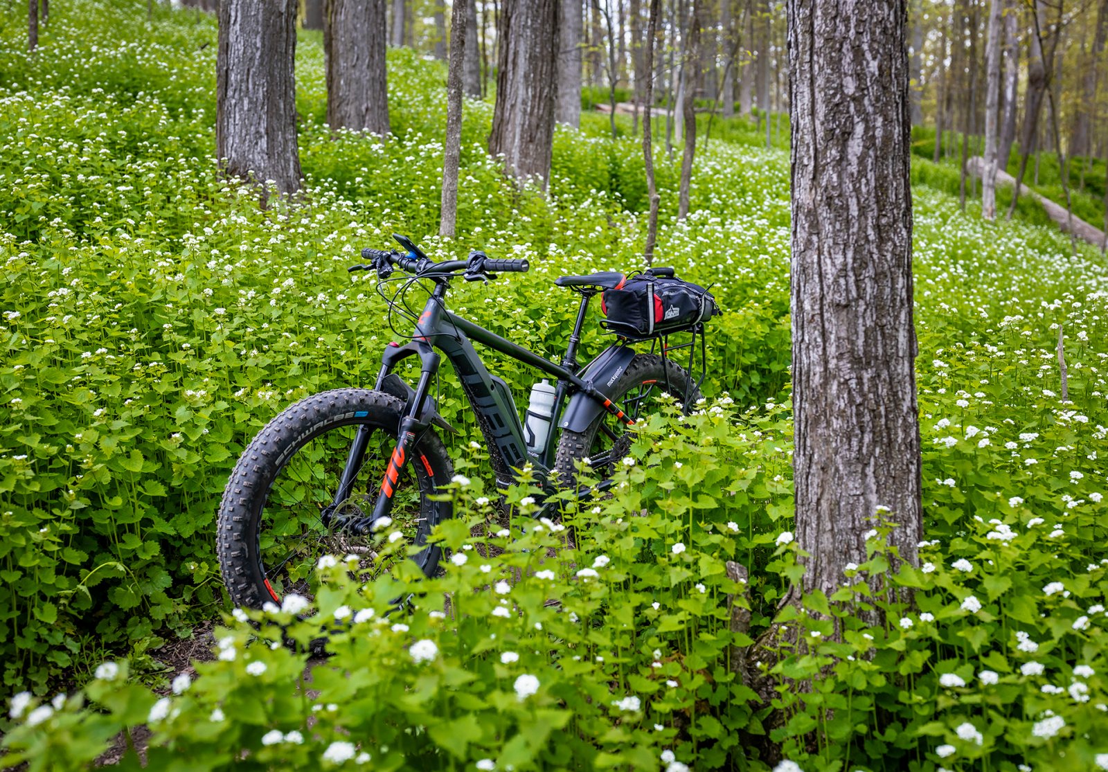 Bosch Long-Term Reviews And Recommendations | EMTB Forums