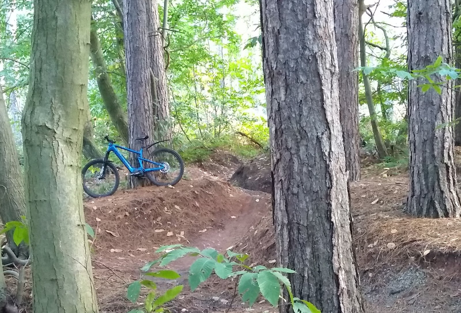 Pic of the Day | Page 40 | EMTB Forums