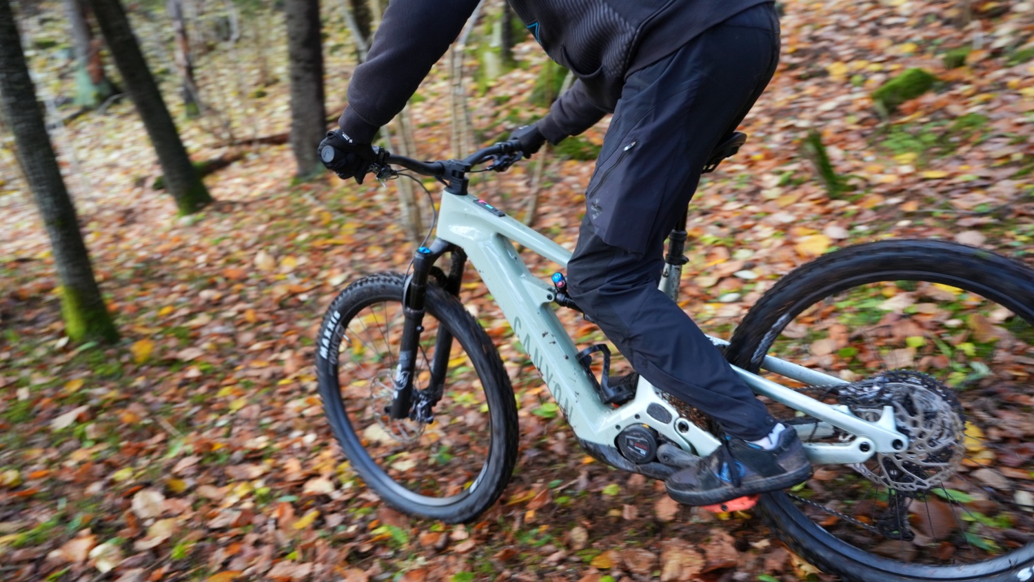 2024 Canyon Strive:ON CFR review | EMTB Forums