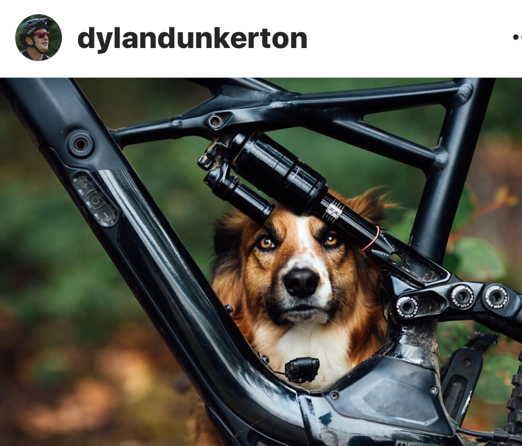 Kenevo - 2019 BoXXer RC DebonAir™ 29 DH upgrade | EMTB Forums