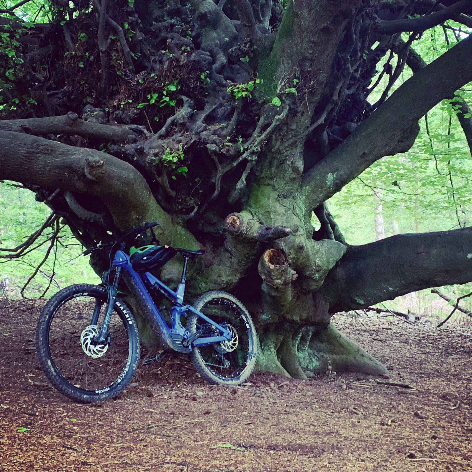 Let's see them Canyon bike pics. | Page 5 | EMTB Forums