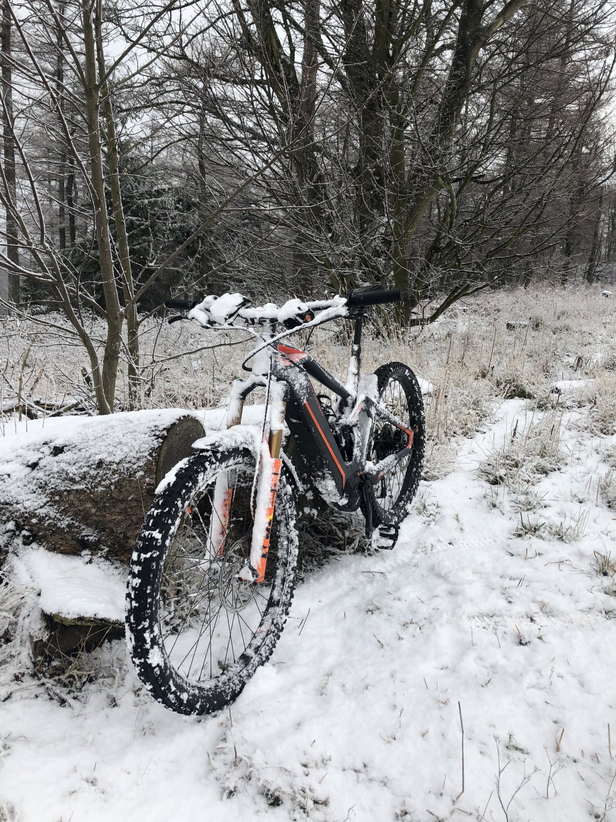 Snow riders!! | EMTB Forums