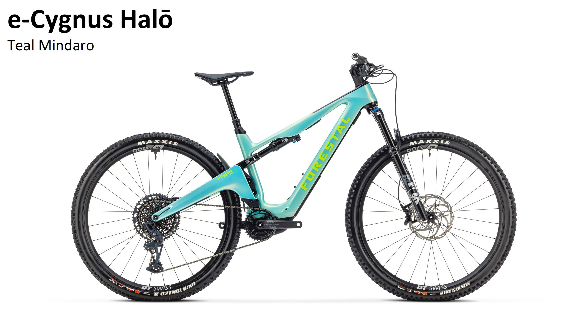 Introducing the Forestal e-Cygnus - a downcountry and XC emtb | EMTB Forums