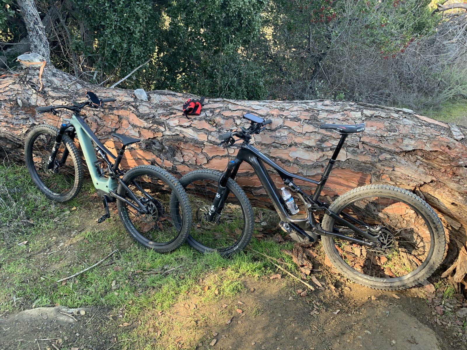 My Levo Leaning on Stuff | Page 3 | EMTB Forums