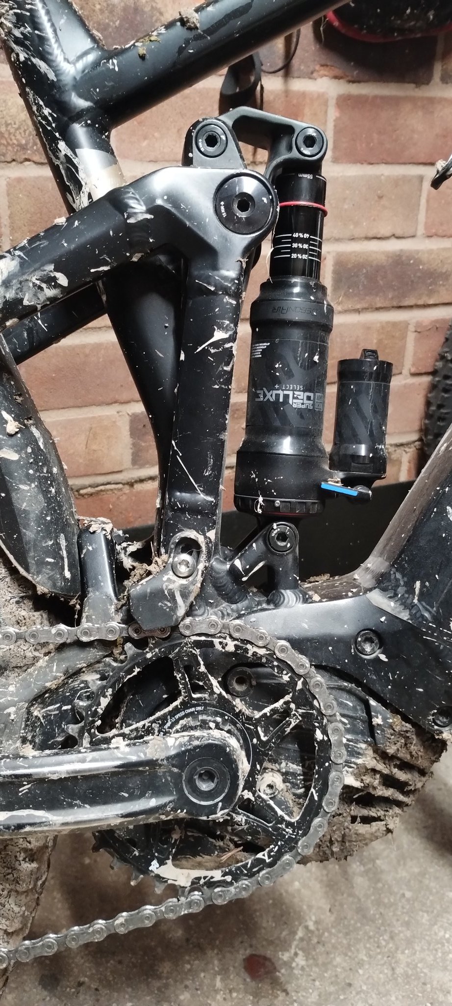 Pic of the Day | Page 373 | EMTB Forums