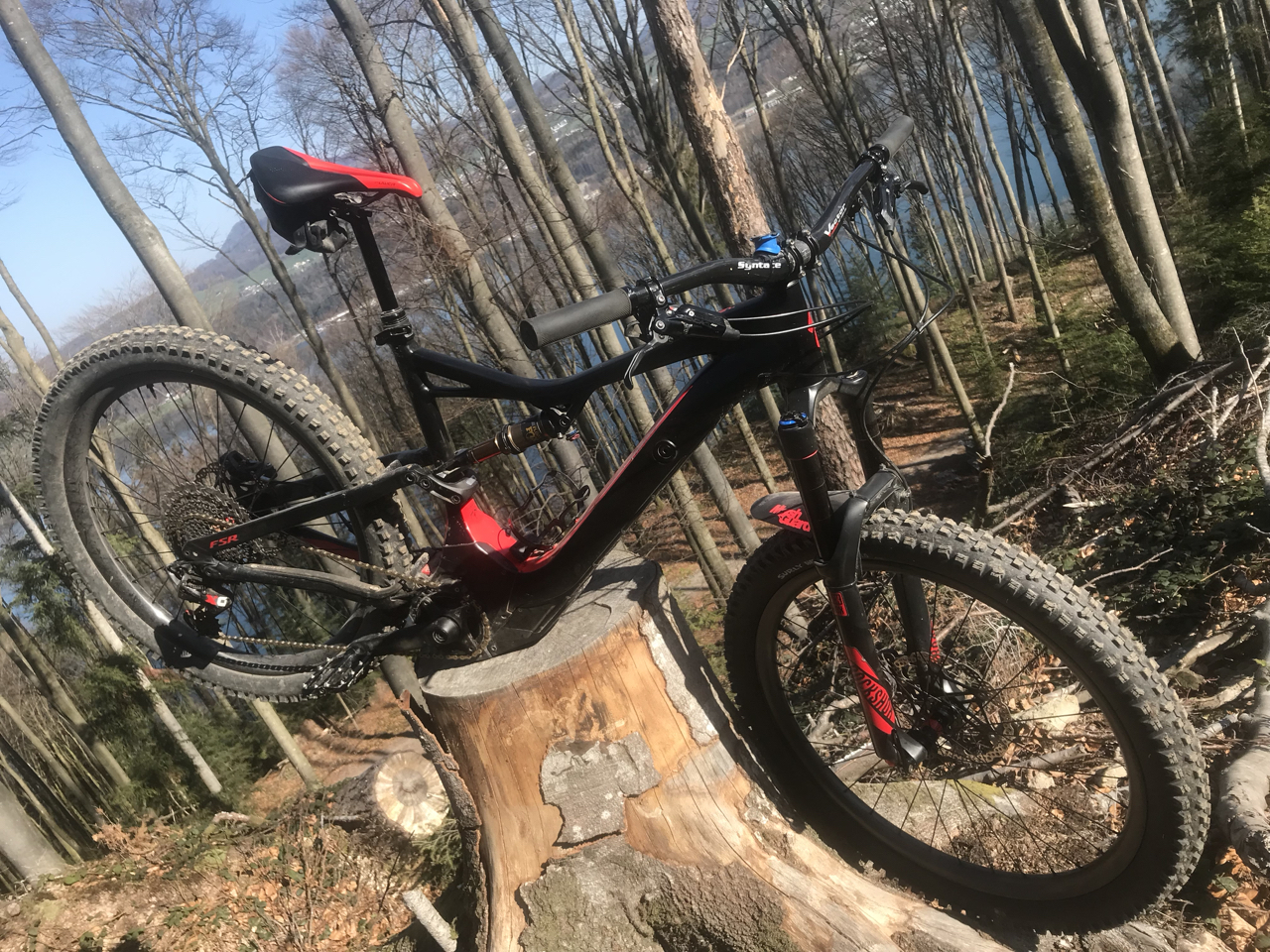 Let’s See Your Levo | Page 6 | EMTB Forums