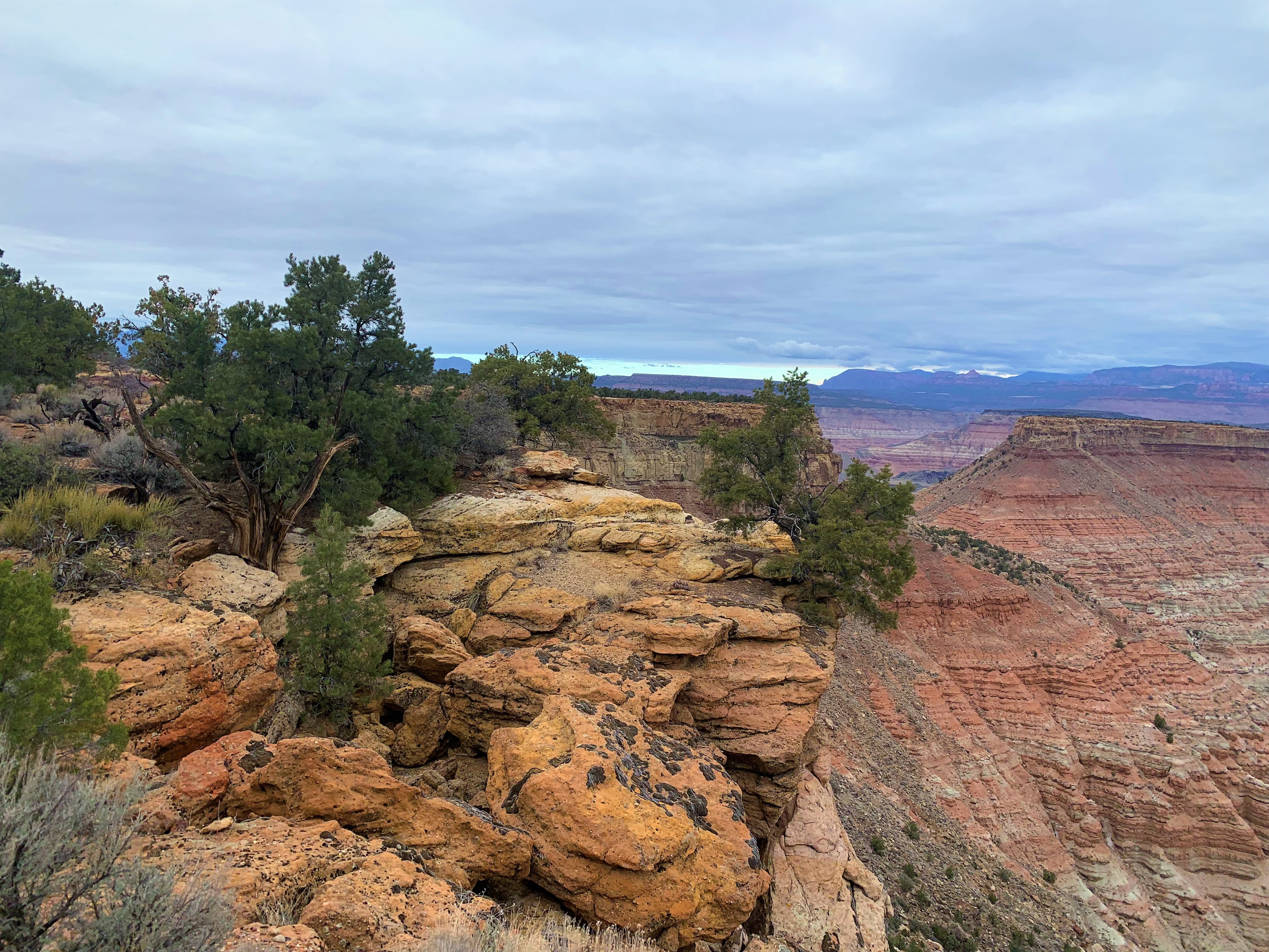 Motor failures? | Page 2 | EMTB Forums