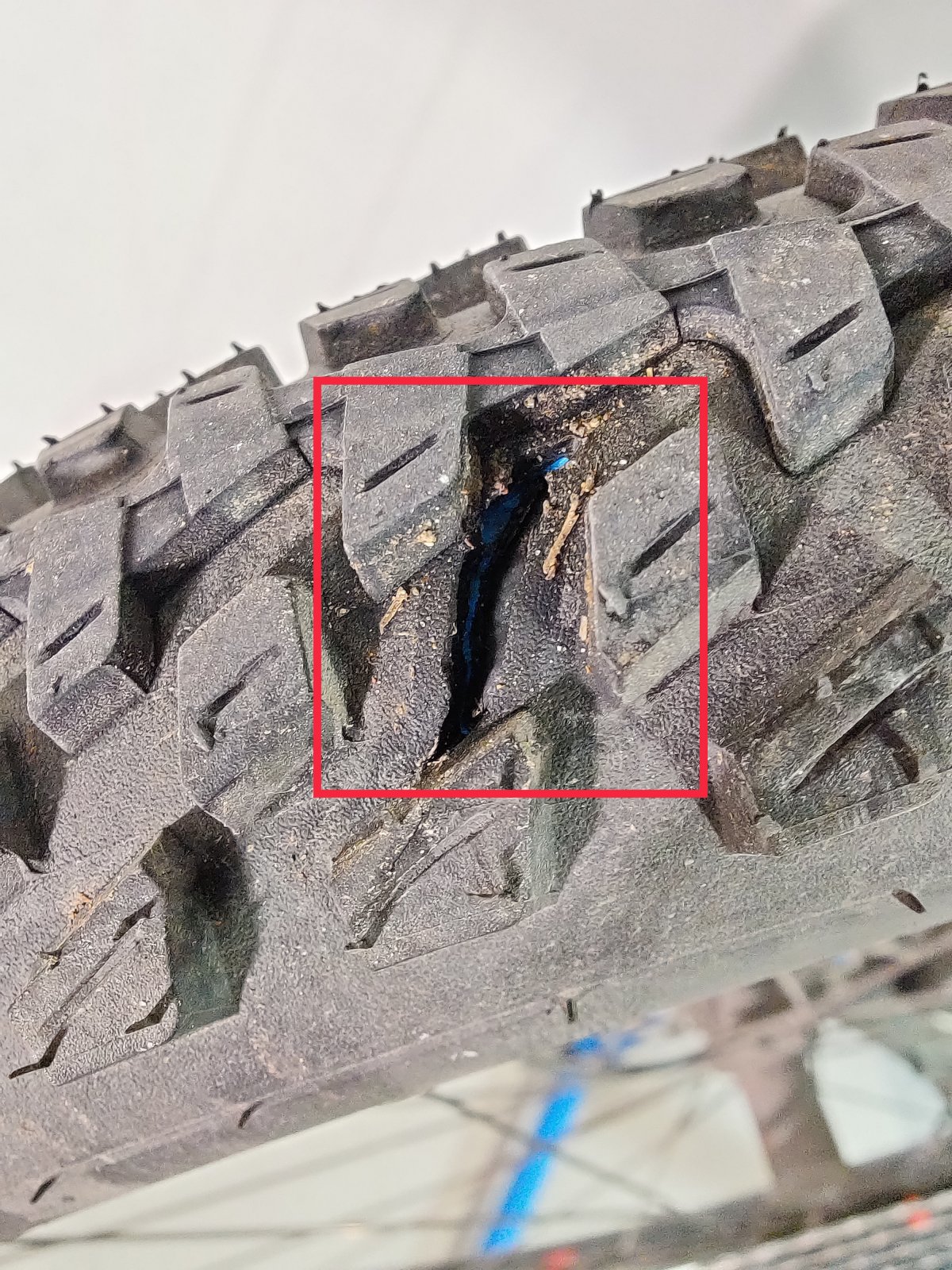 Schwalbe Jonny Watts - New EMTB tyre | EMTB Forums