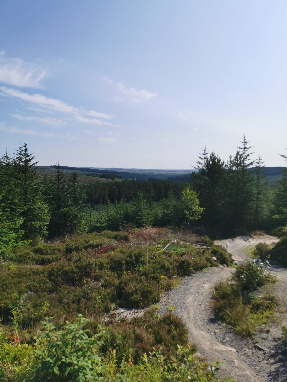 First time whyte owner | EMTB Forums