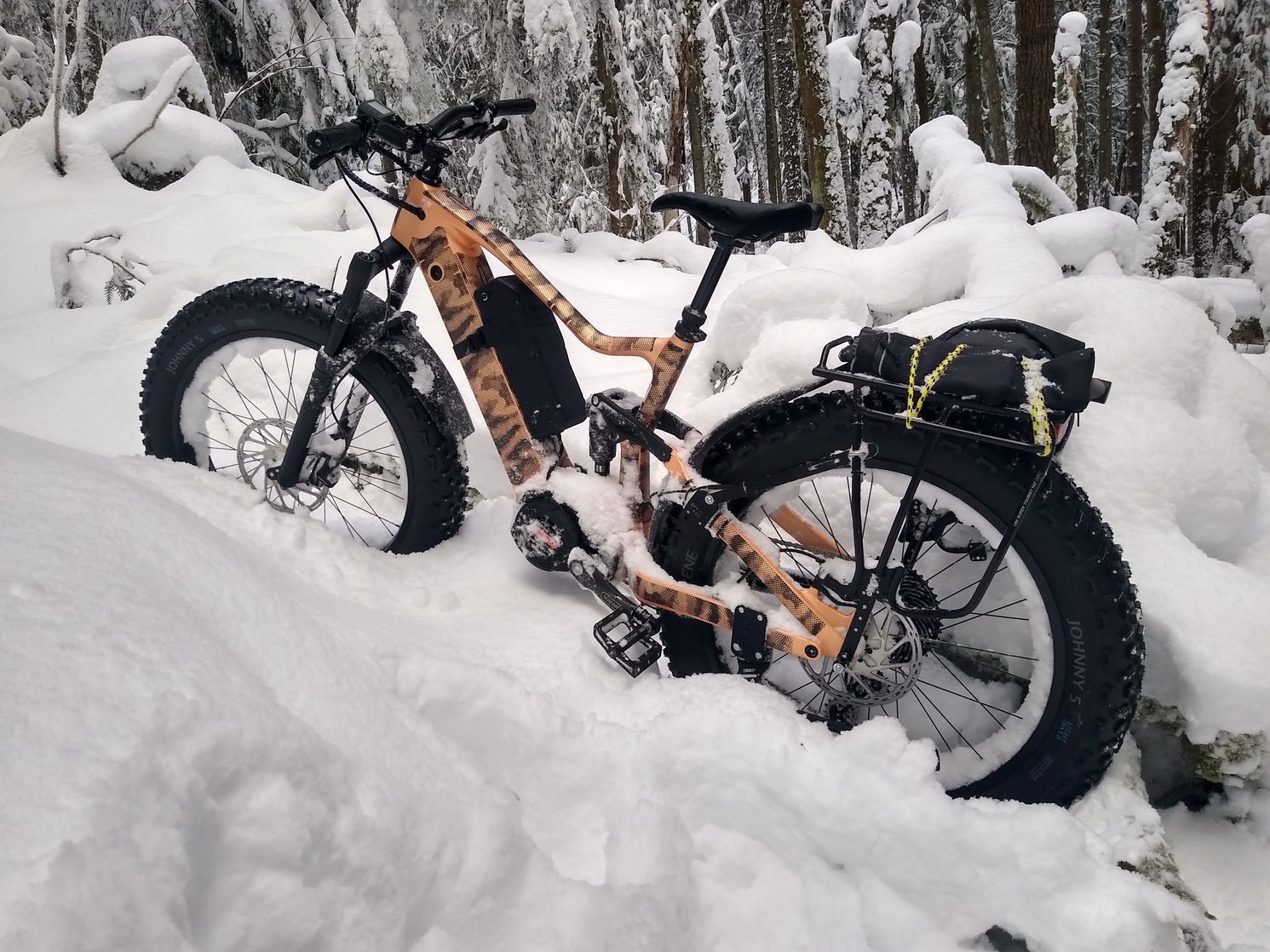 (Full sus) Fat bike frames for smaller/lighter motors than M620 | EMTB ...