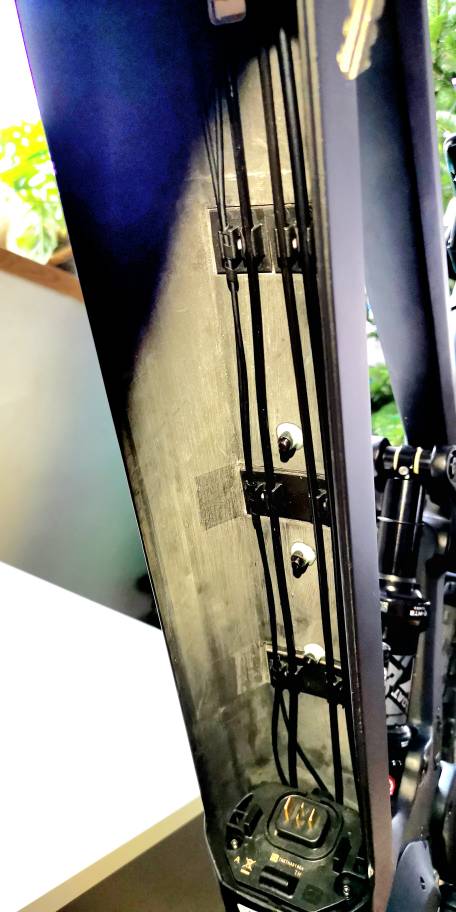 Dartmoor e‐thunderbird CF | EMTB Forums