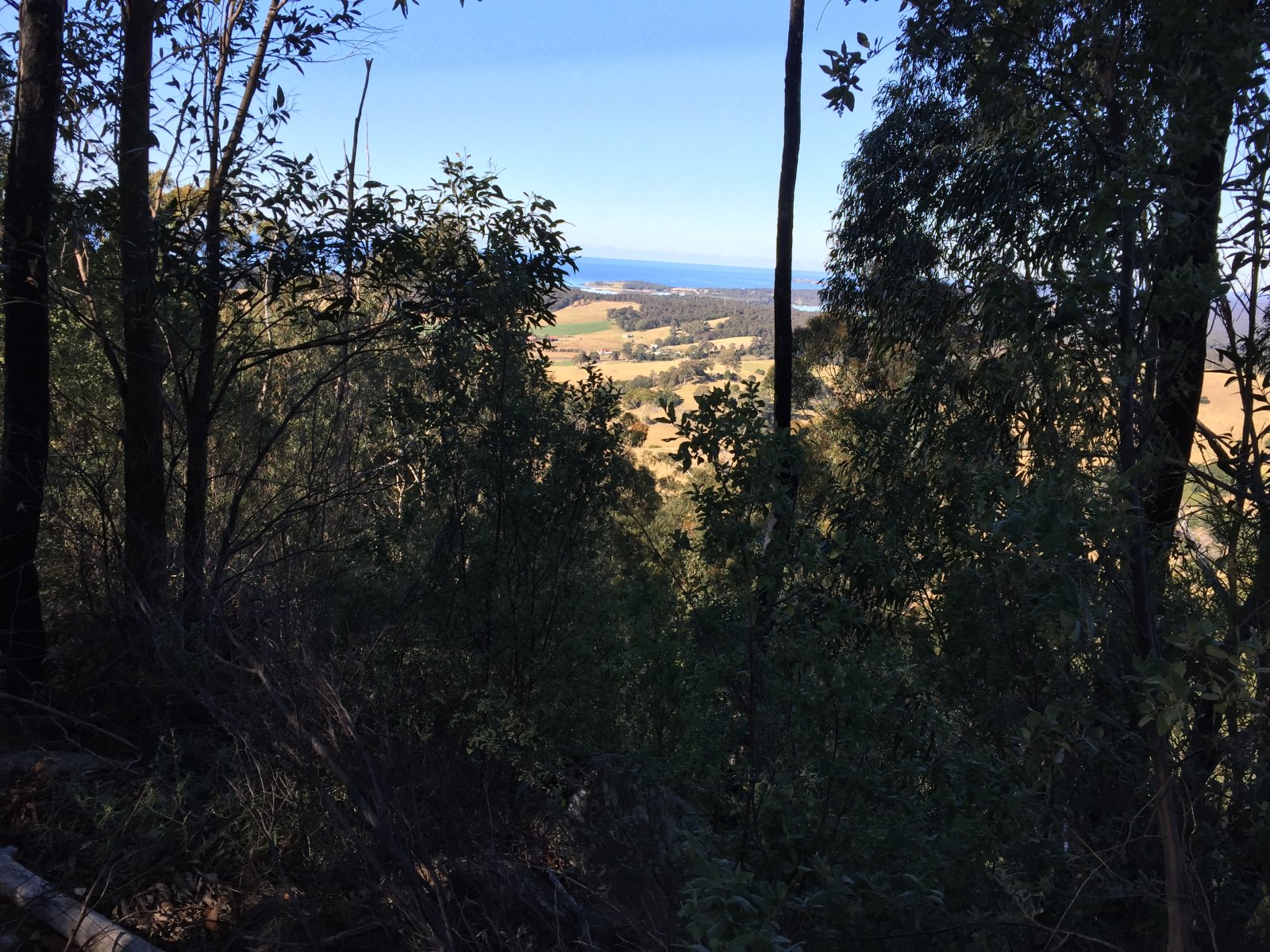 I road up a mountain side with my friend on another Levo 2780 ft ...