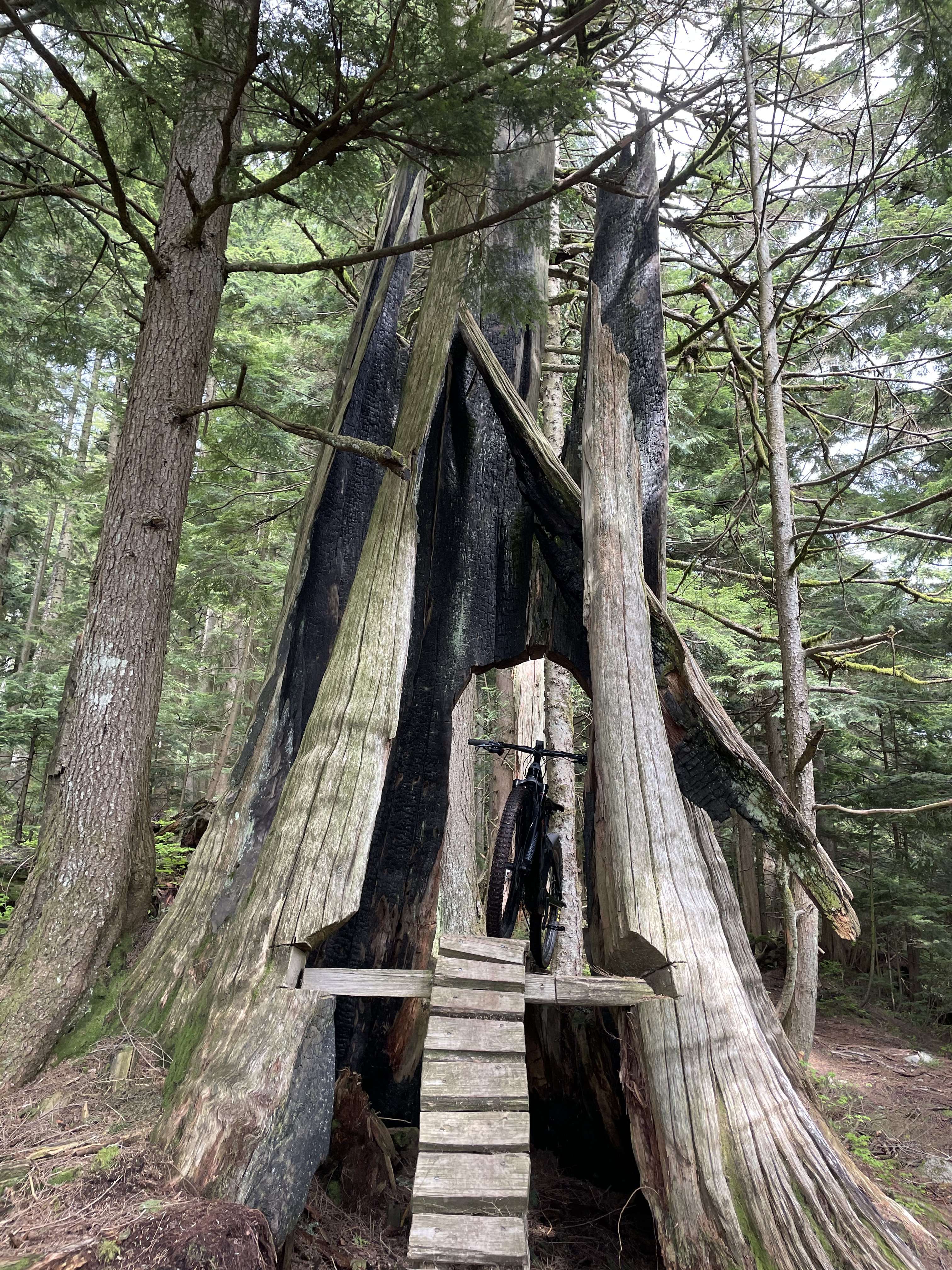 Review - LoamLab Counterpunch Bar Ends | EMTB Forums