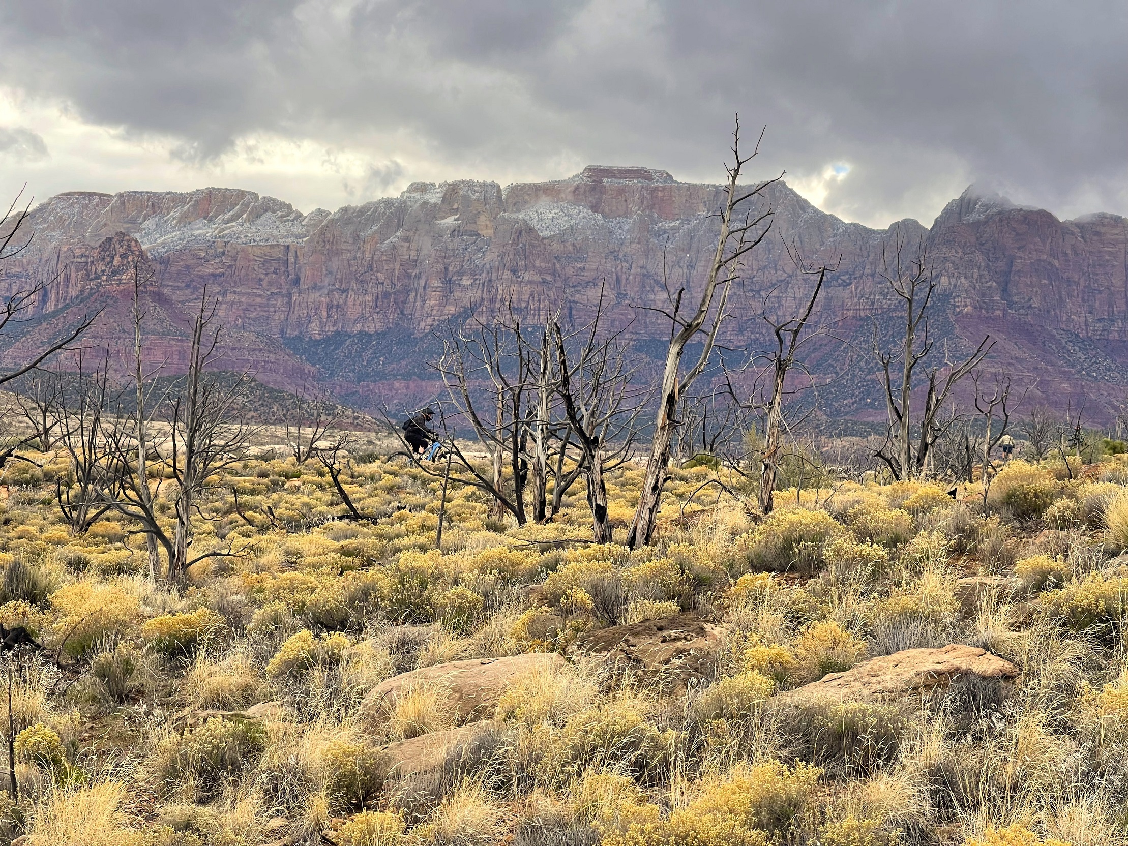 Levo Gen 3 - Improving Levo Comp suspension | Page 2 | EMTB Forums