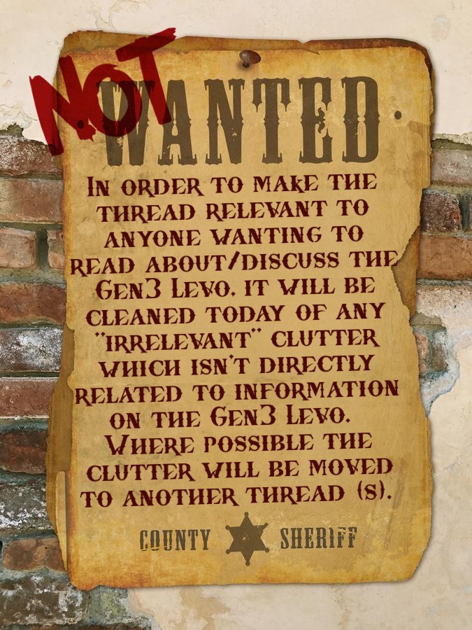 22 Gen 3 Levo - The cleaned posts. | Page 8 | EMTB Forums