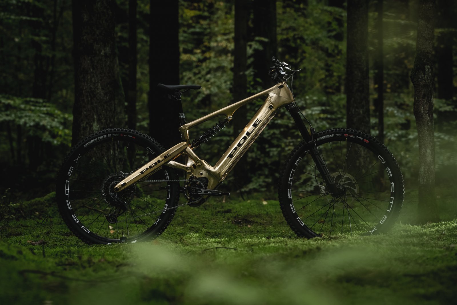 Pole Voima 190mm Travel EMTB | Page 7 | EMTB Forums