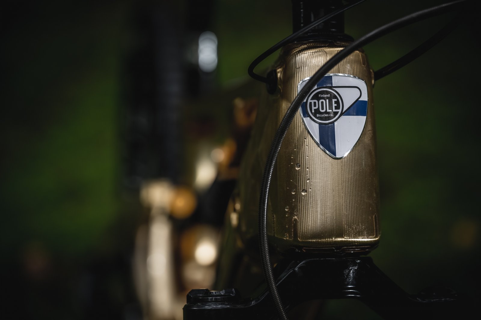 Pole Voima 190mm Travel EMTB | Page 7 | EMTB Forums