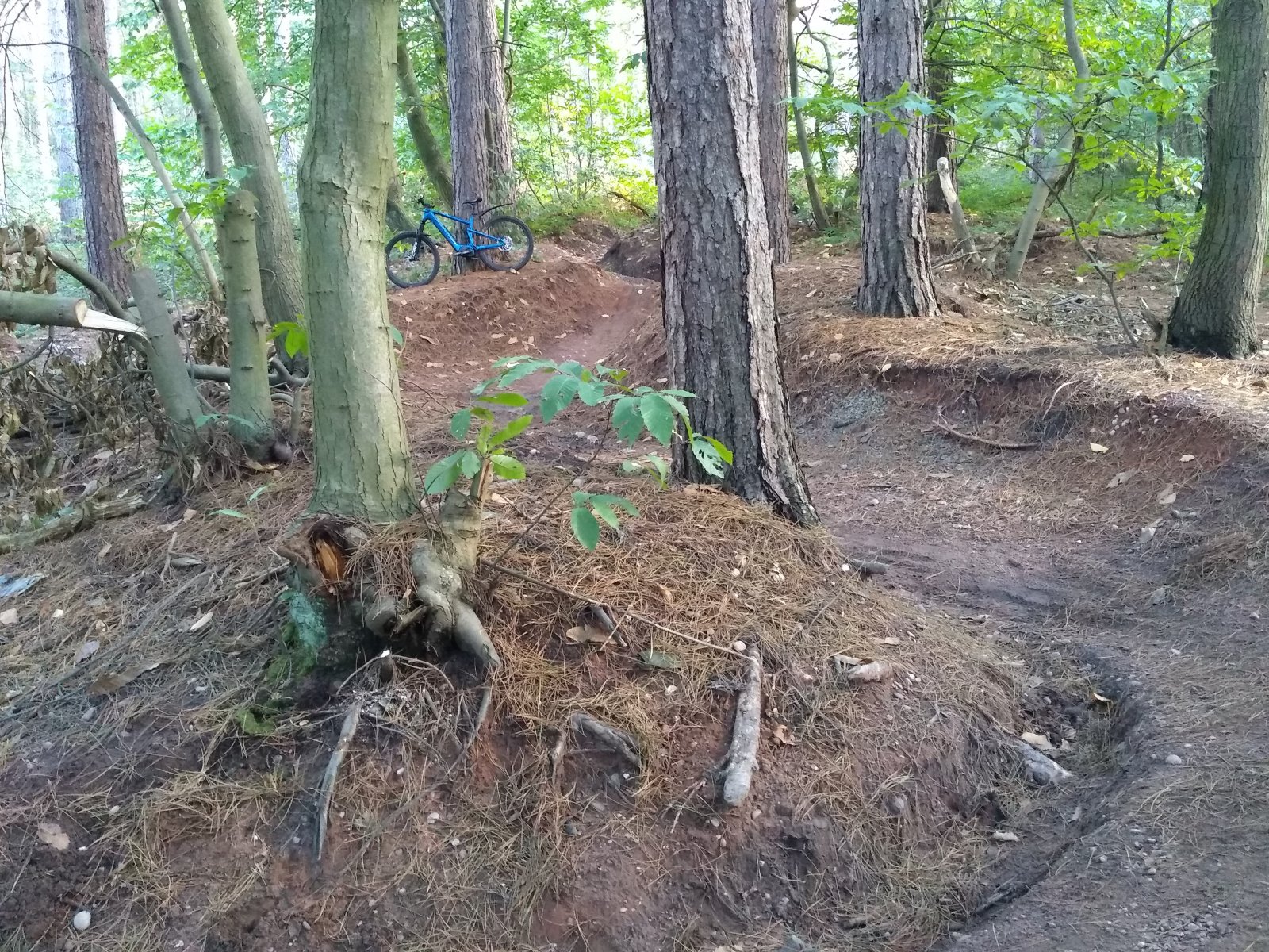 Pic of the Day | Page 223 | EMTB Forums