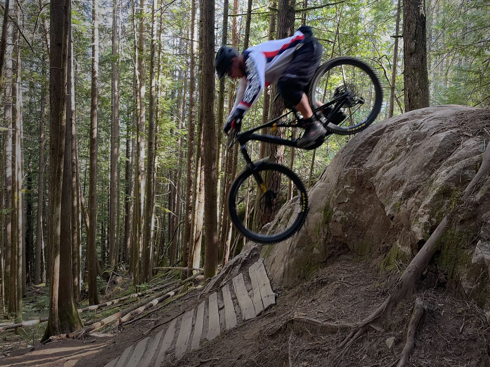 Pic of the Day | Page 262 | EMTB Forums