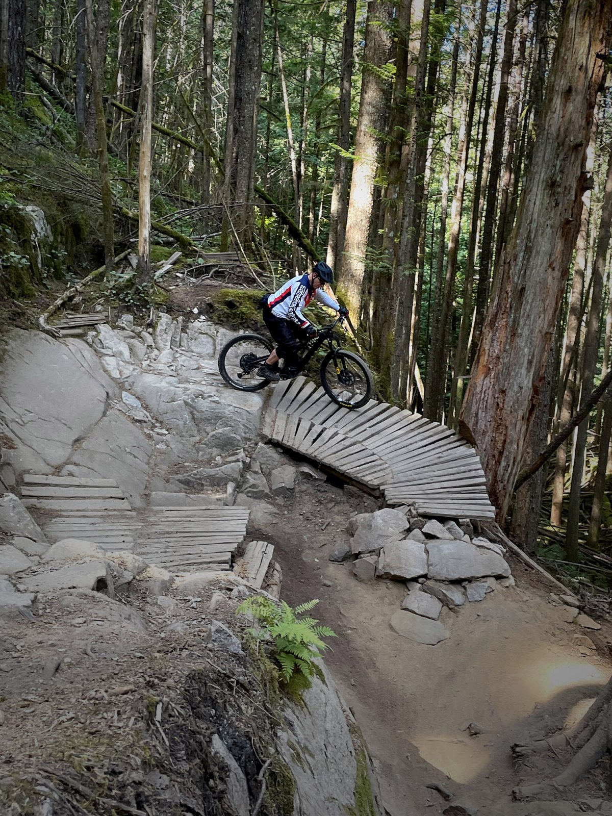 Pic of the Day | Page 262 | EMTB Forums
