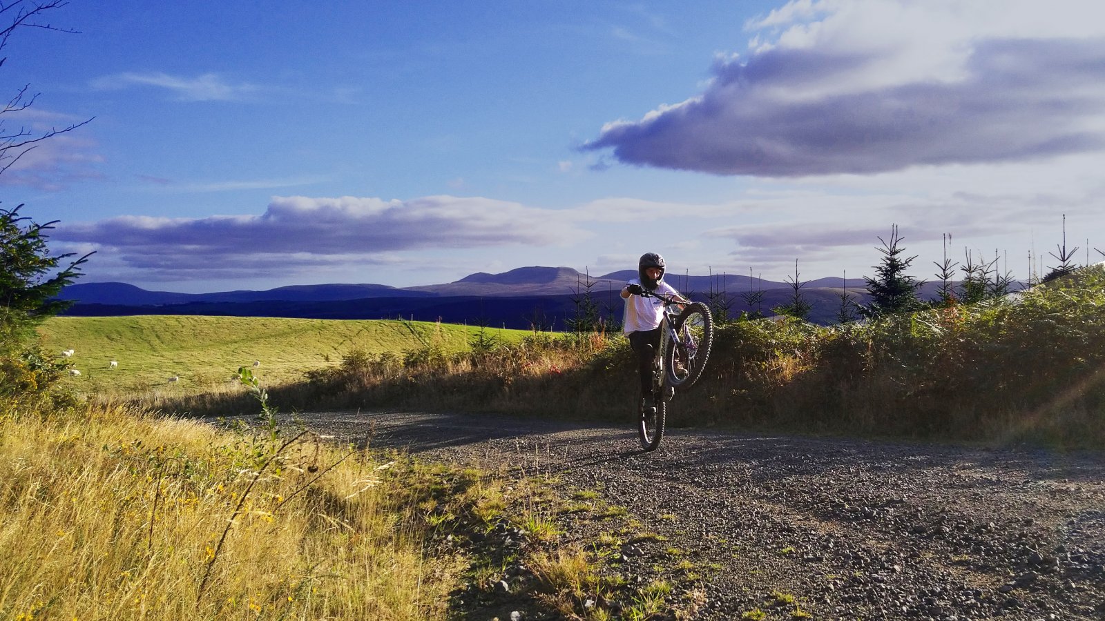 Pic of the Day | Page 269 | EMTB Forums