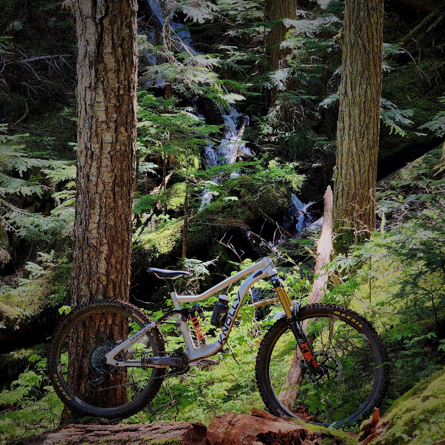 Pic of the Day | Page 437 | EMTB Forums