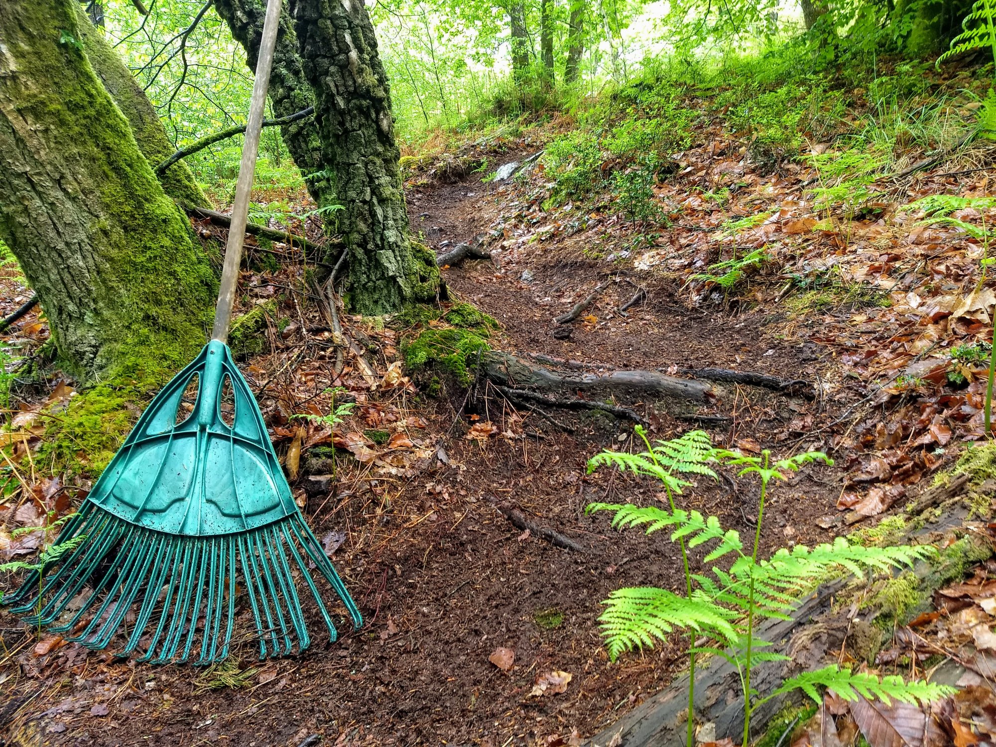Mace2.jpg | EMTB Forums